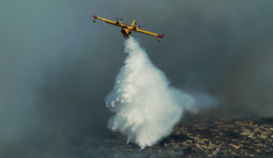 Aerial Firefighting Pilot: How to Become One & What to Expect
